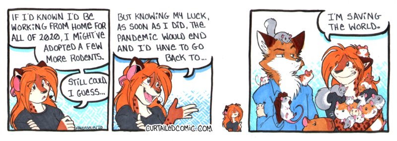 Curtailed – Semi-Autobiographical Silliness